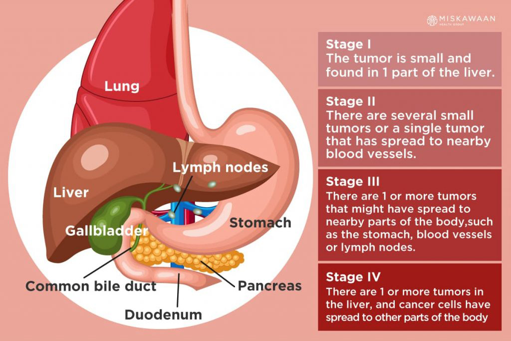 North Beverley Medical Centre